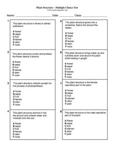 Plant Structure Multiple Choice Test | Trivia Questions and Answer